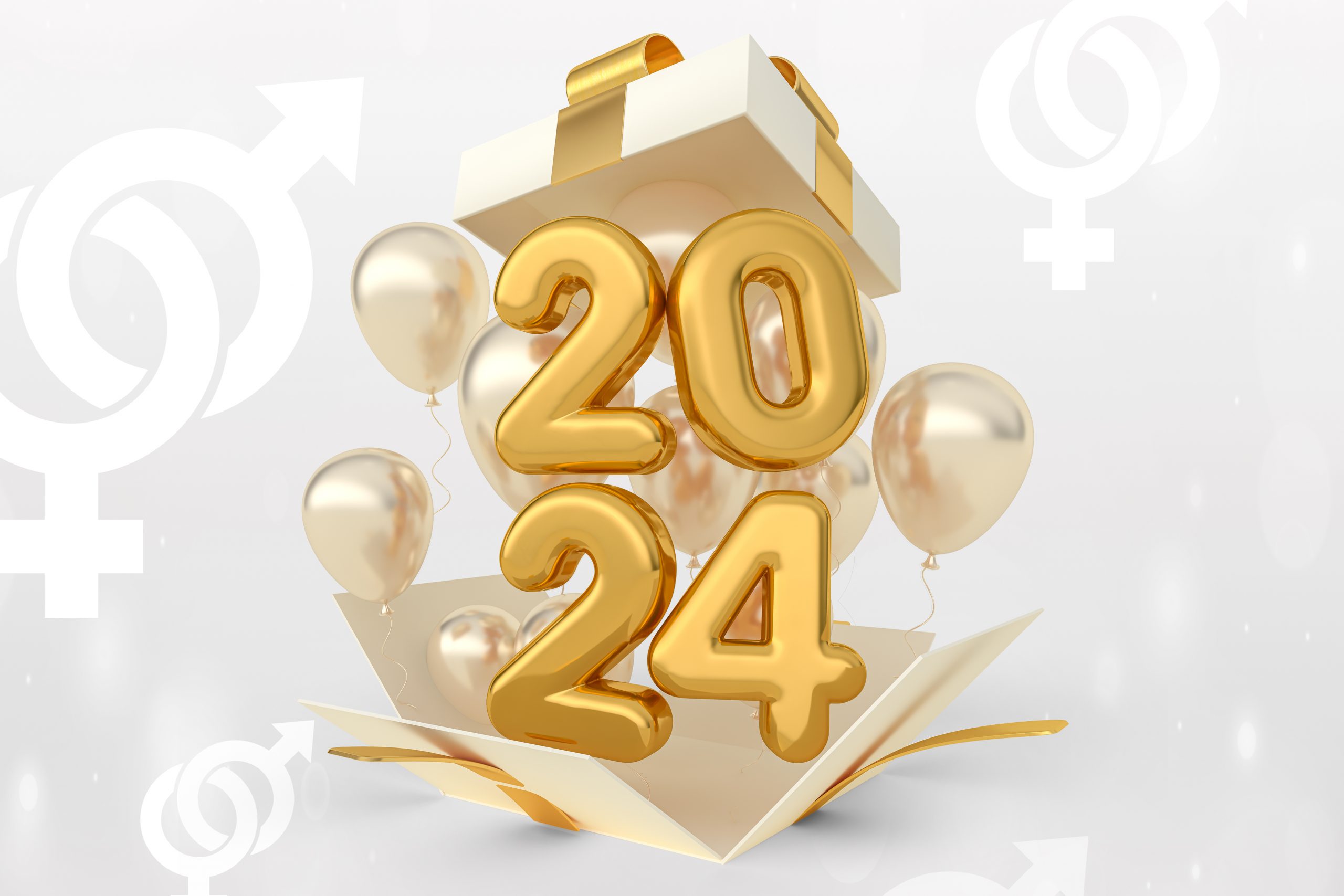 Sretna Nova 2024. godina - mehmedbasic.ba